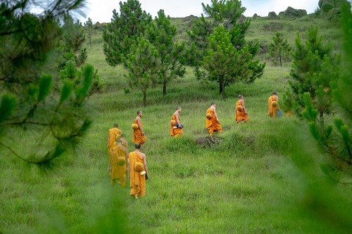 What Is the Sangha? — Study Buddhism
